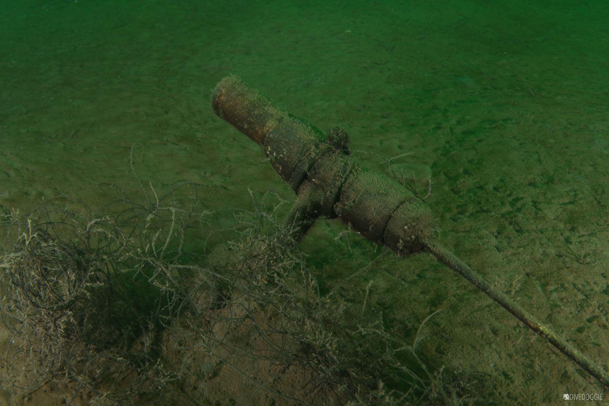 Scuba Diving Pactola Reservoir - DiveDoggie, LLC